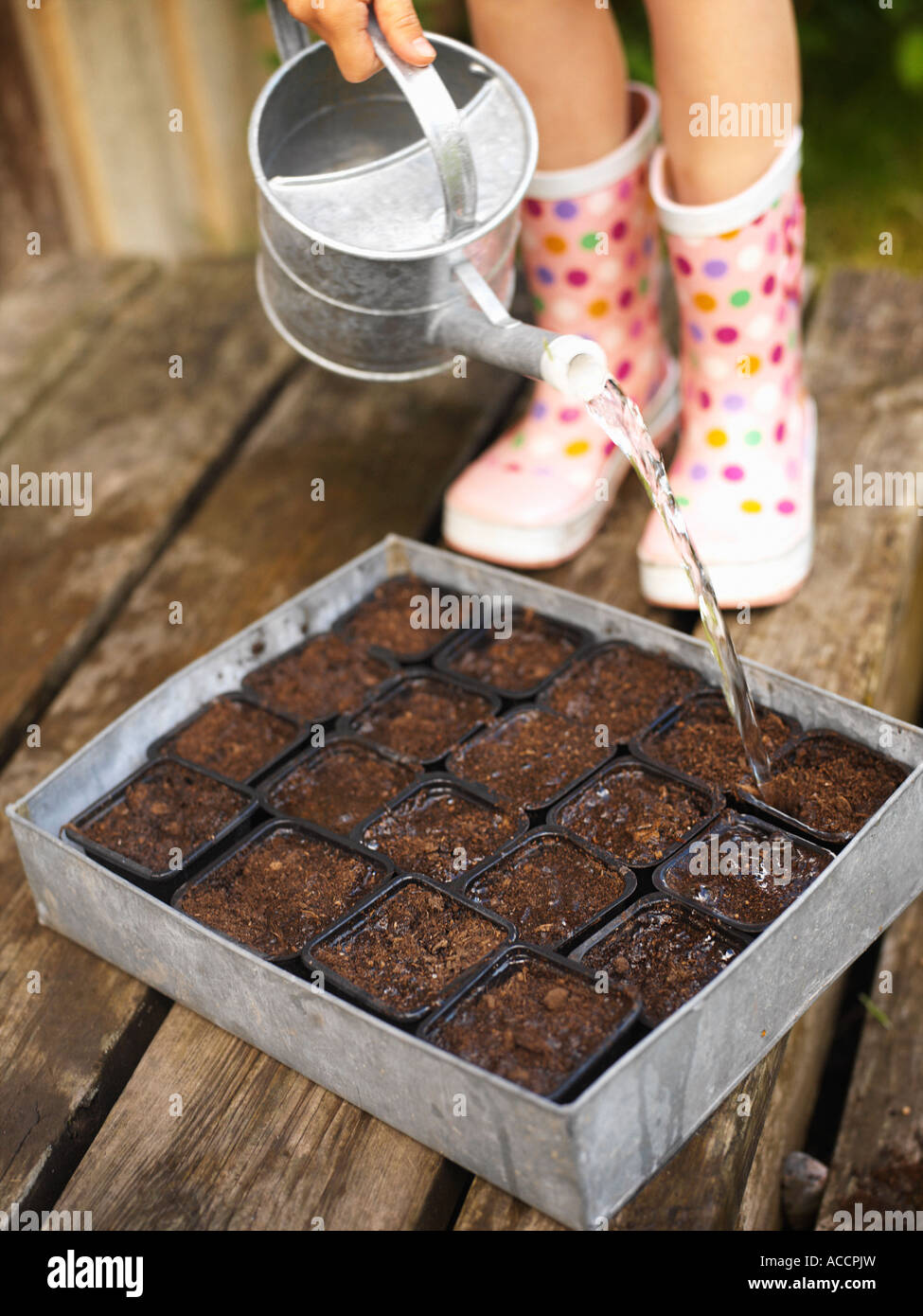 Soil being watered Stock Photo - Alamy