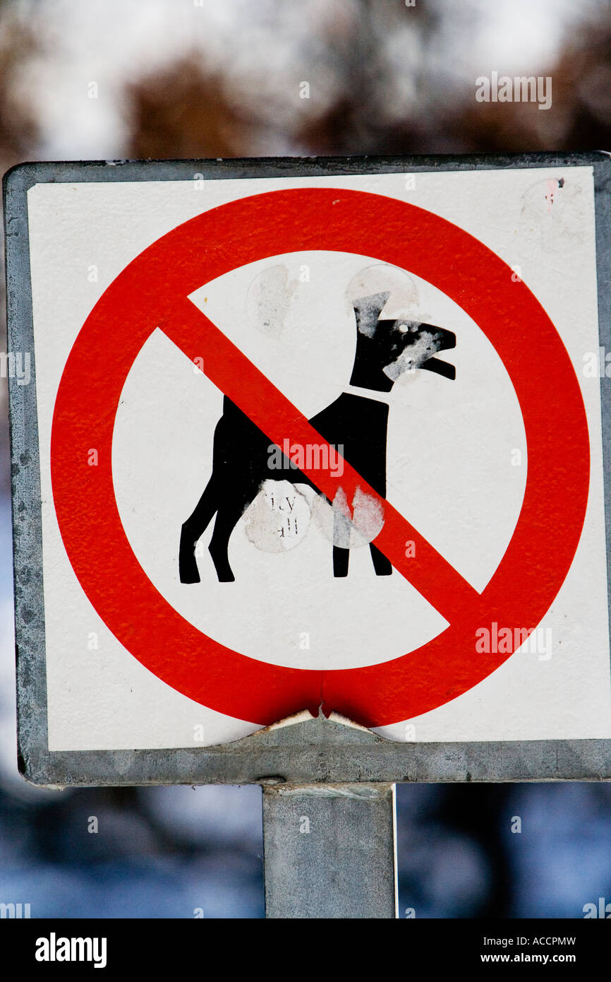 A sign prohibiting dogs Stock Photo - Alamy