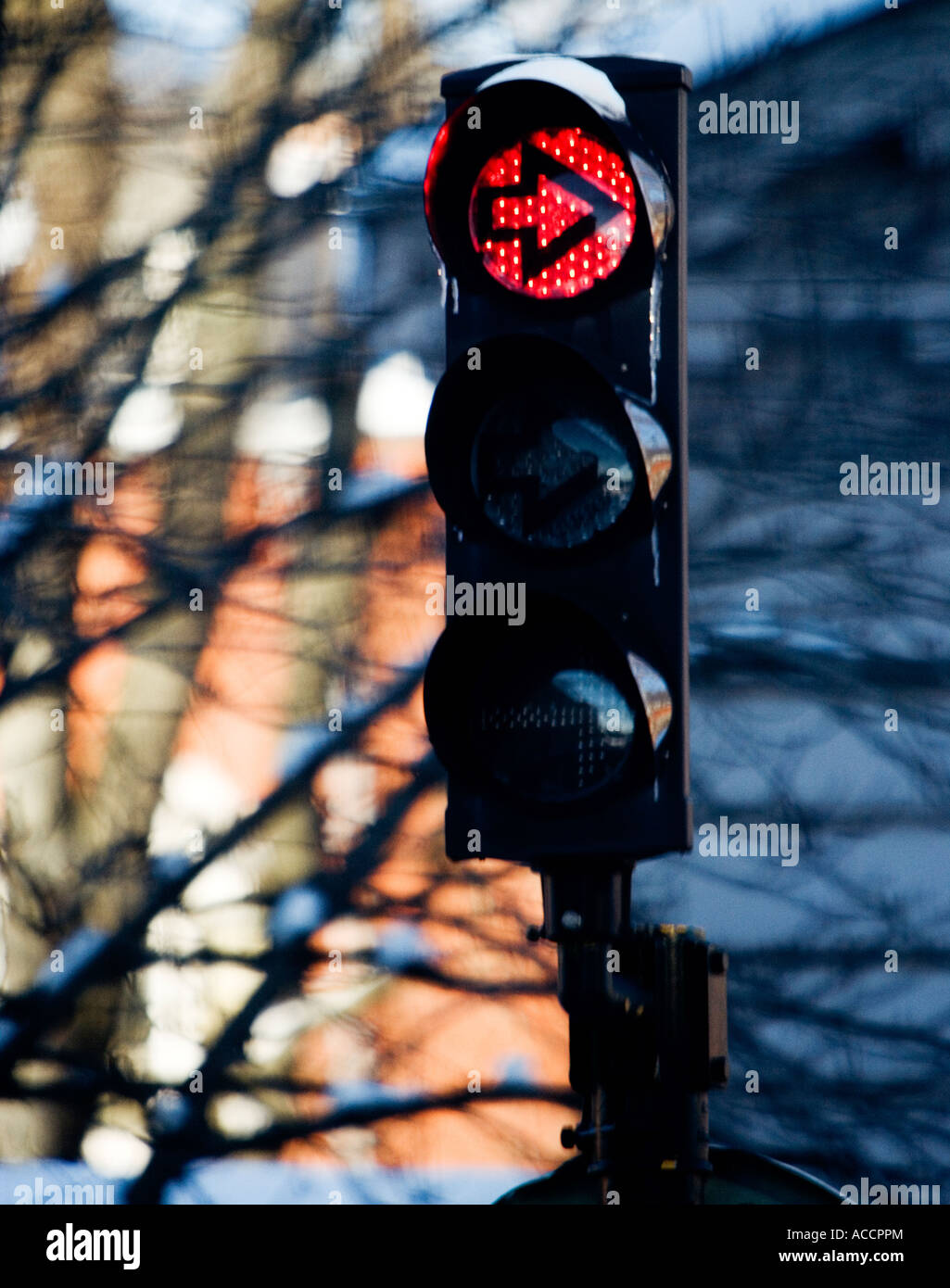 Red light on a traffic light Stock Photo - Alamy