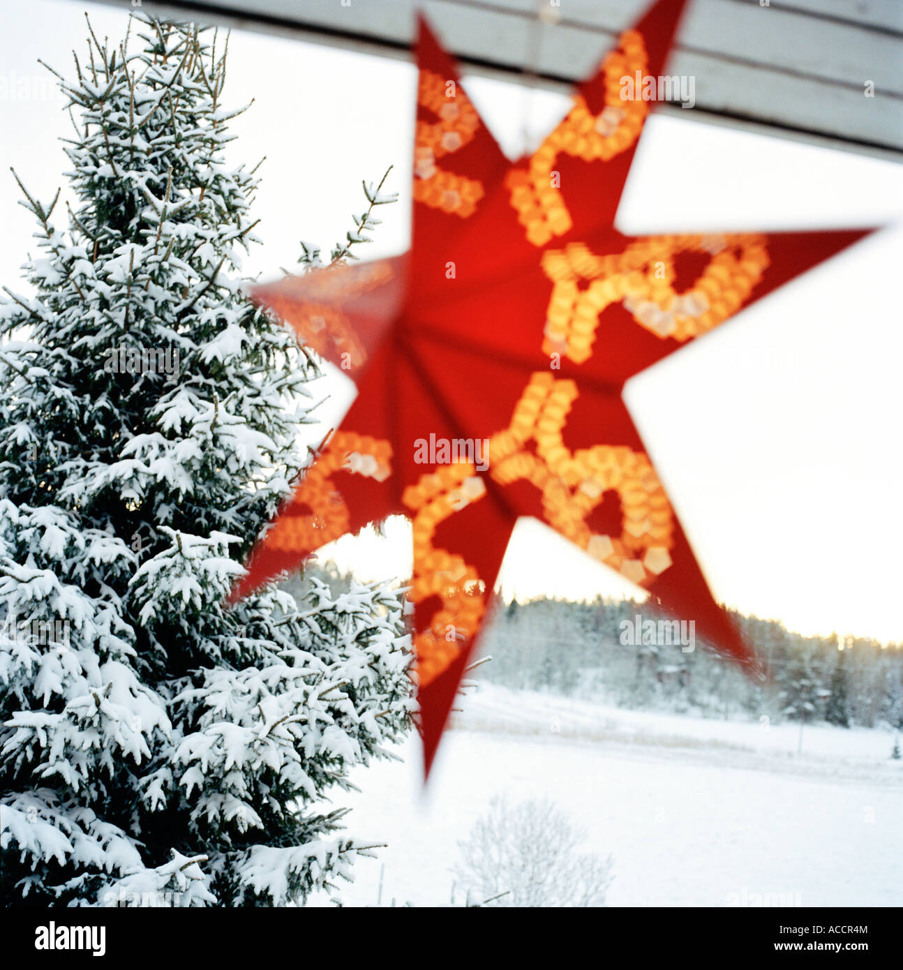 An Advent star in a window Stock Photo - Alamy