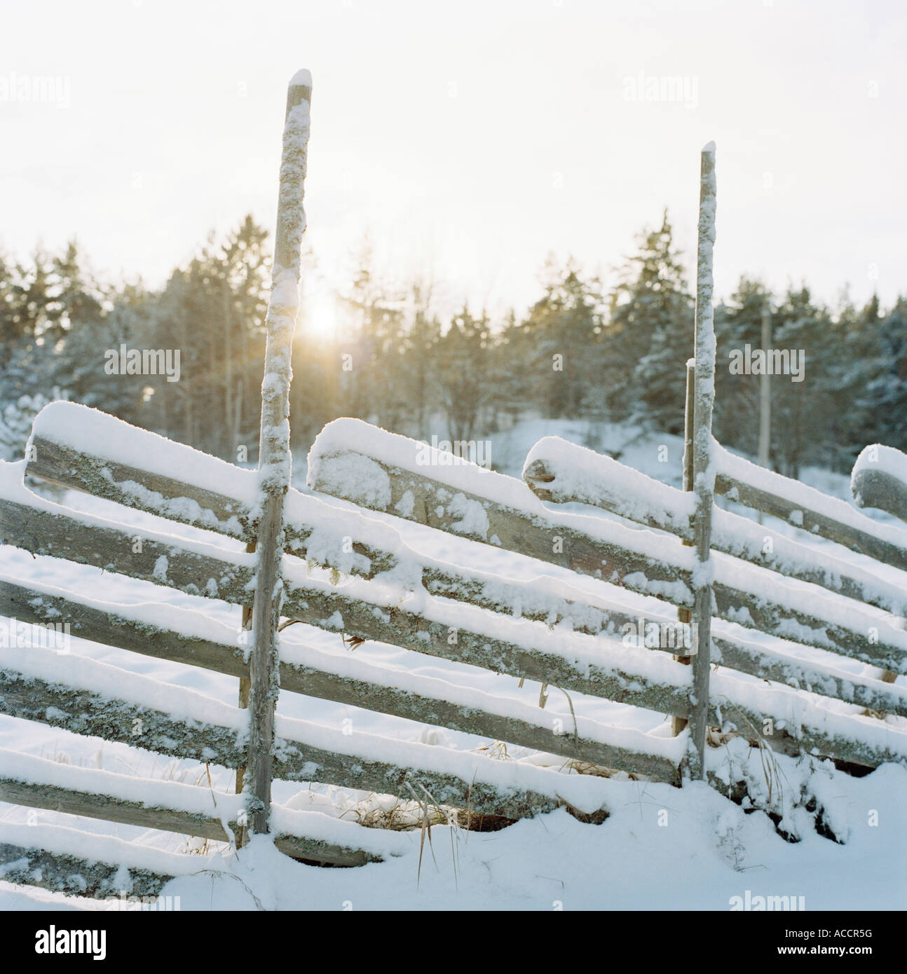 A fence covered in snow Stock Photo - Alamy