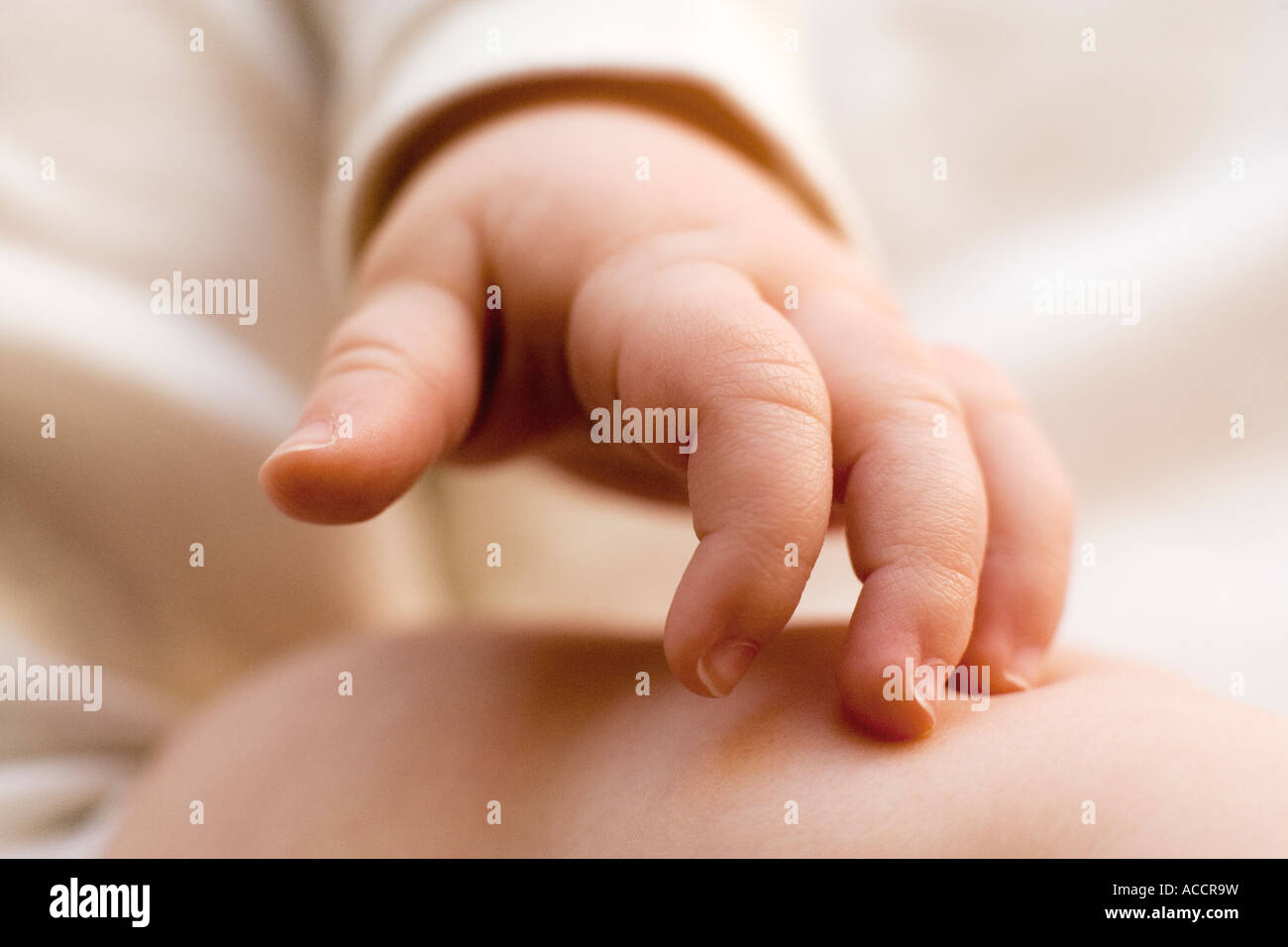 A babys hand close-up Stock Photo - Alamy