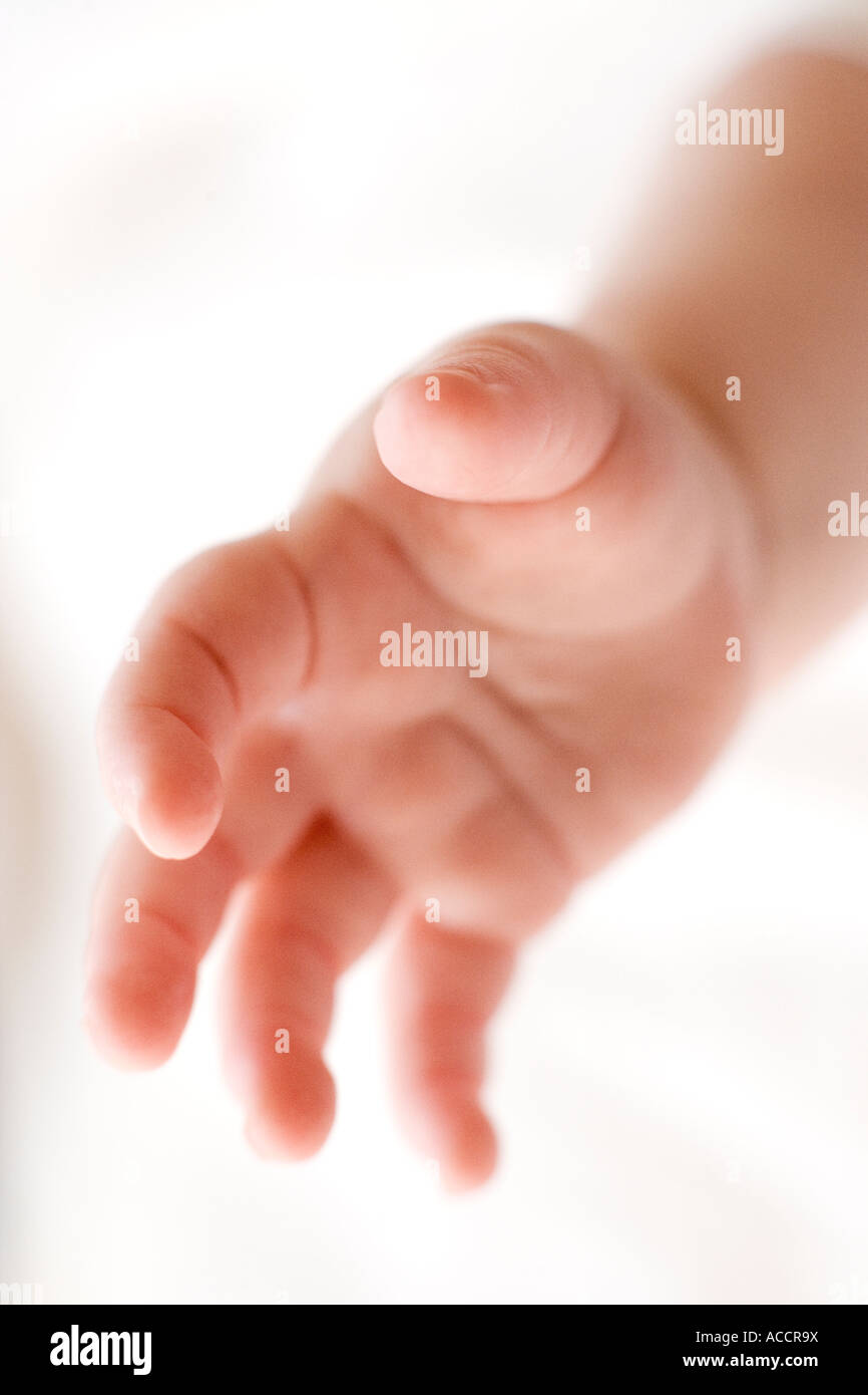 A babys hand close-up Stock Photo - Alamy