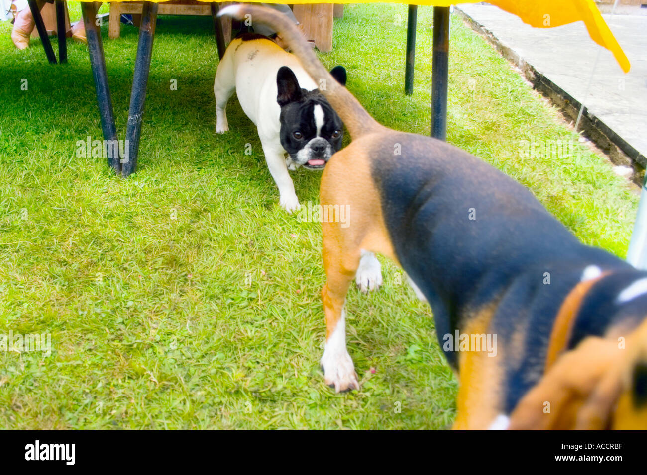 Ogling bum hi-res stock photography and images - Alamy