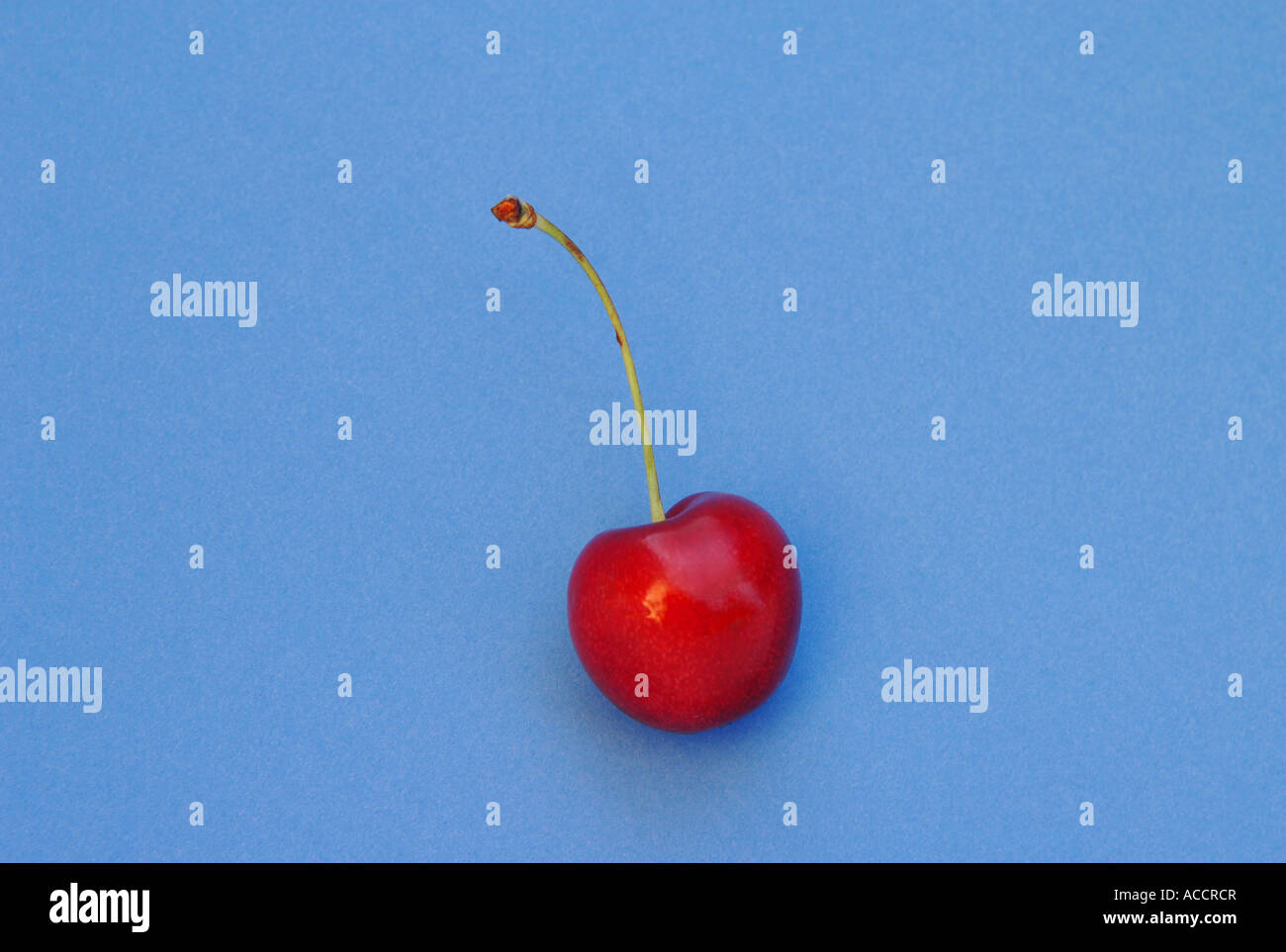 Single cherry fruit hi-res stock photography and images - Alamy