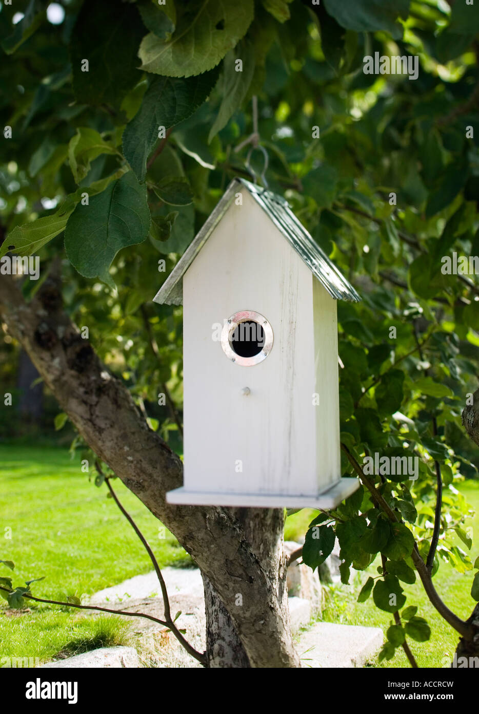 A nesting box in a tree Stock Photo - Alamy