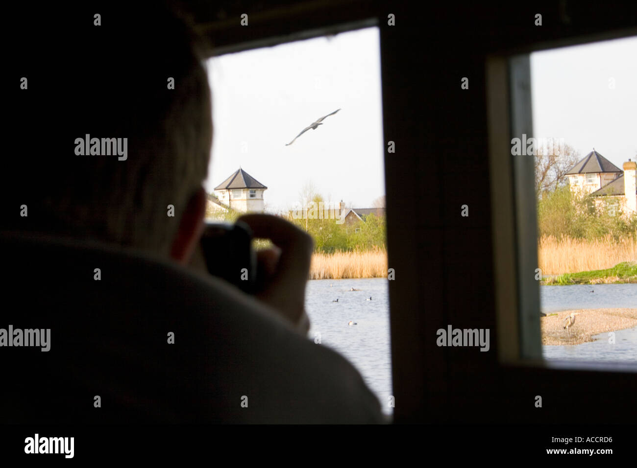 A man photographing a bird from a watchtower Stock Photo - Alamy