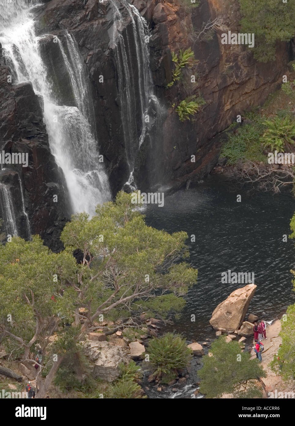 Pt mckenzie falls hi-res stock photography and images - Alamy