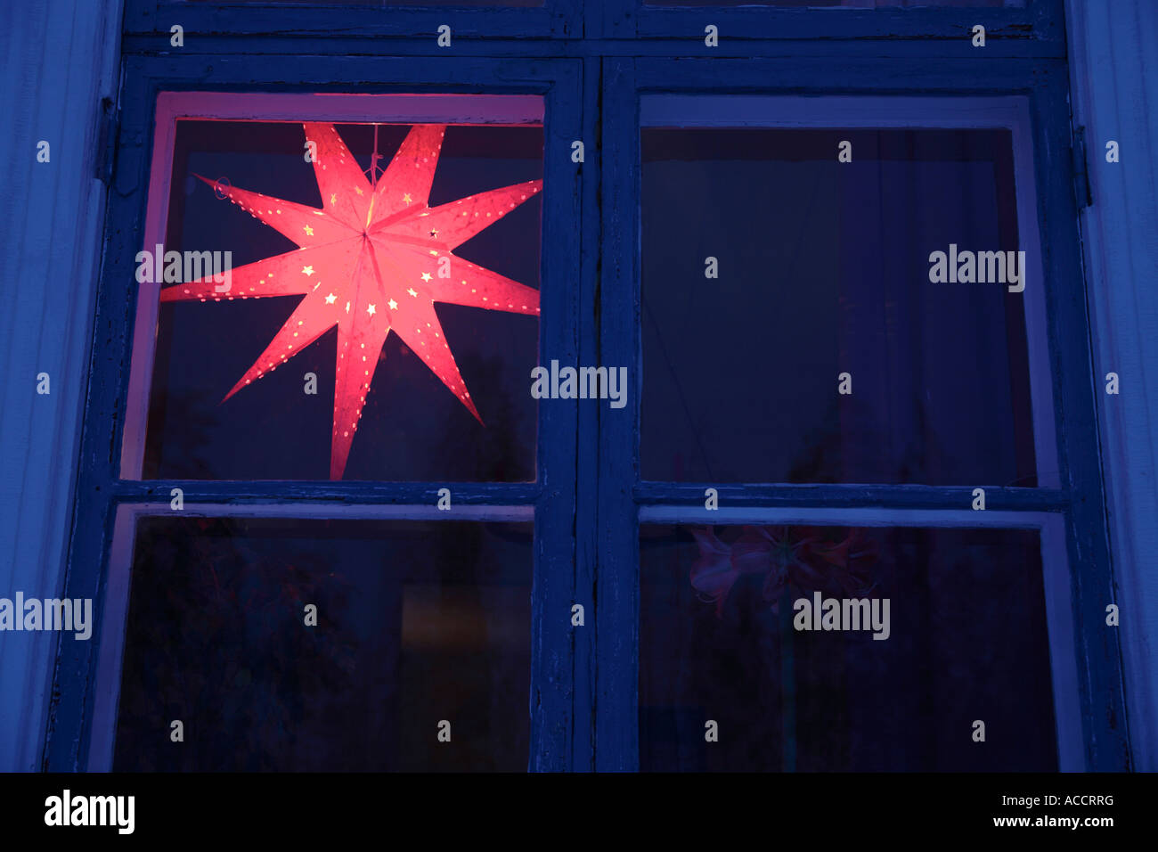 An Advent star in a window Stock Photo - Alamy