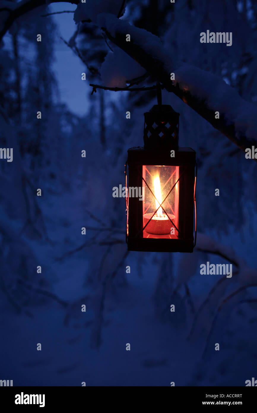 A lantern in a tree Stock Photo - Alamy