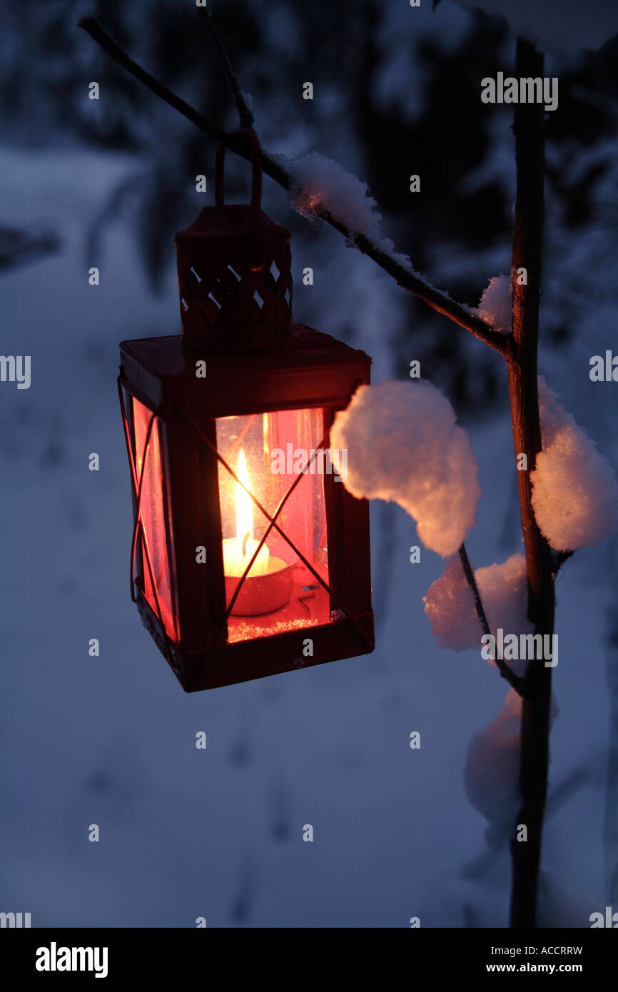 A lantern in a tree Stock Photo - Alamy