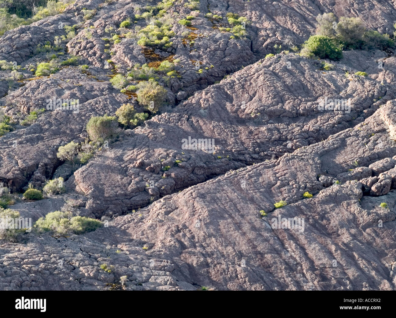 ELEPHANTS HIDE ROCK, VIEWED FROM VICTORY ROAD, HALLS GAP, THE GRAMPIANS ...