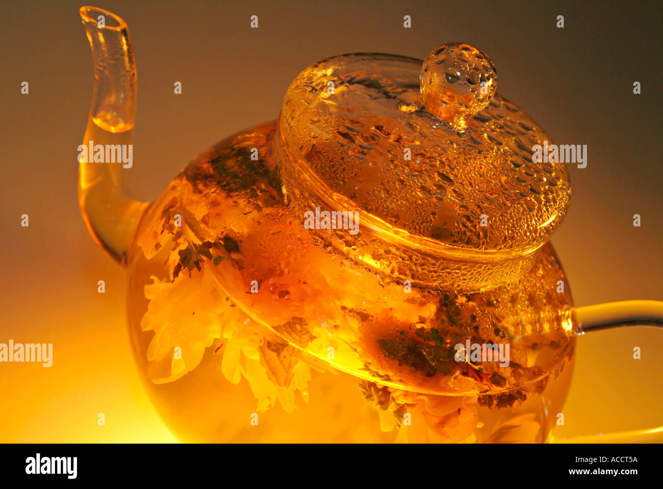 PR teapot with herb tea with flowers of marigold Calendula officinalis ...