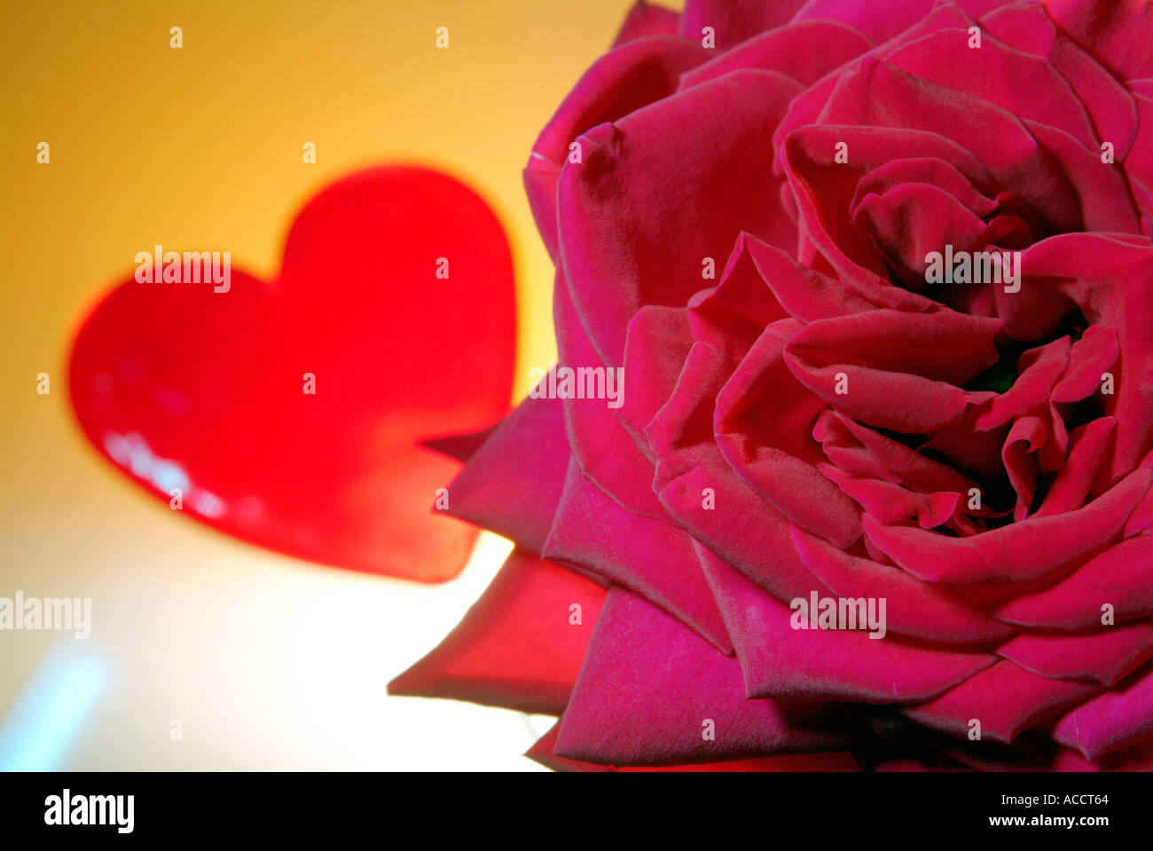 PR red rose and red heart Stock Photo - Alamy