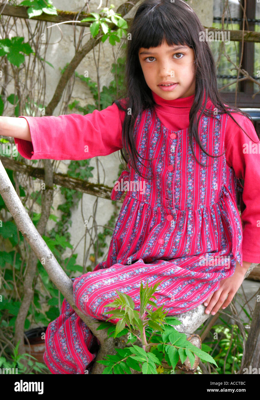 MR young dark haired girl in age of 6 years sitting on a tree Stock ...