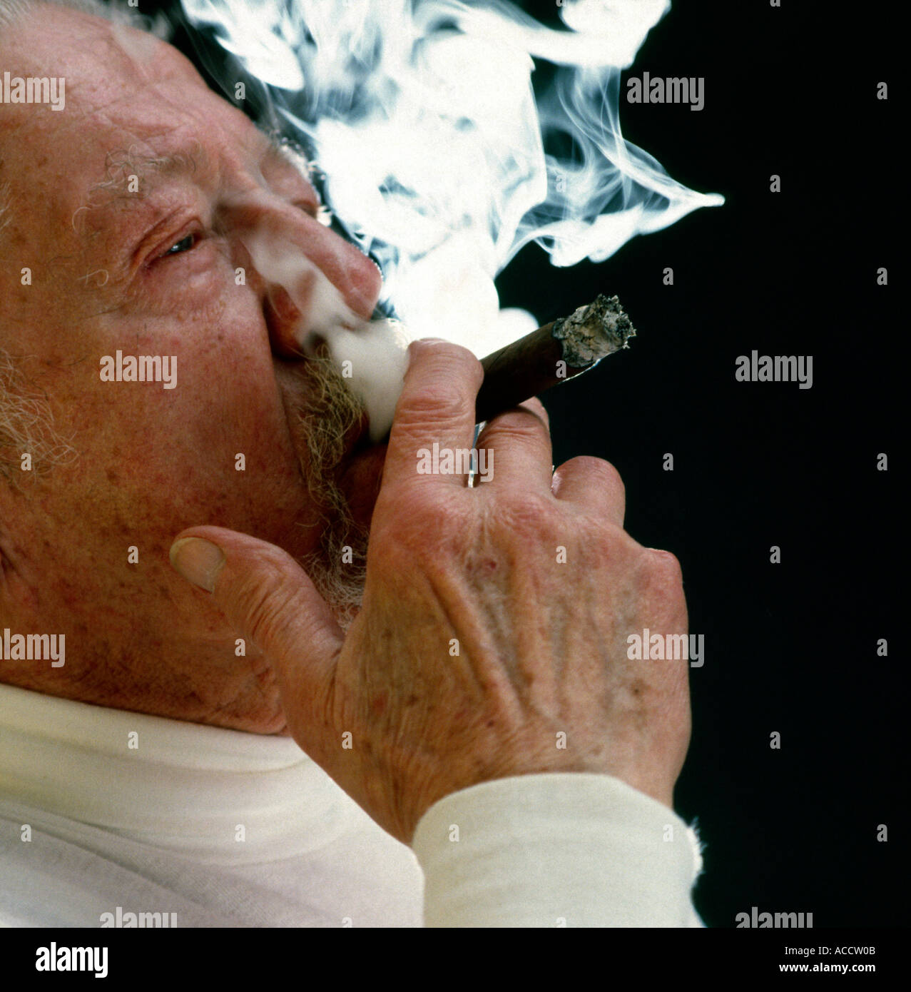 Old men smoke cigars hi-res stock photography and images - Alamy