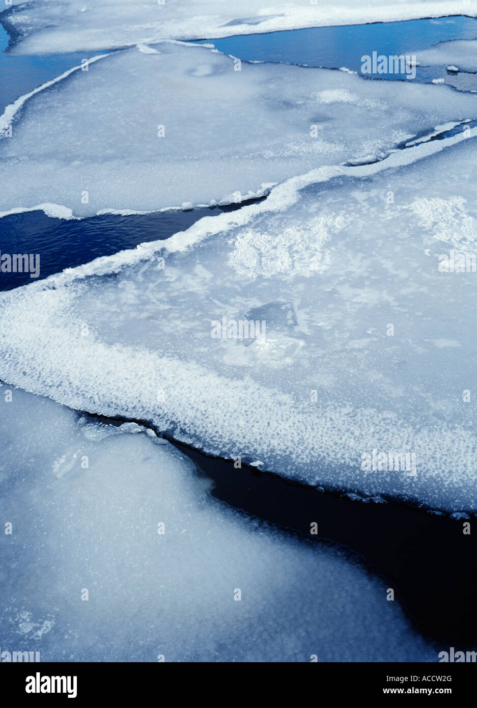 Ice floes in water hi-res stock photography and images - Alamy