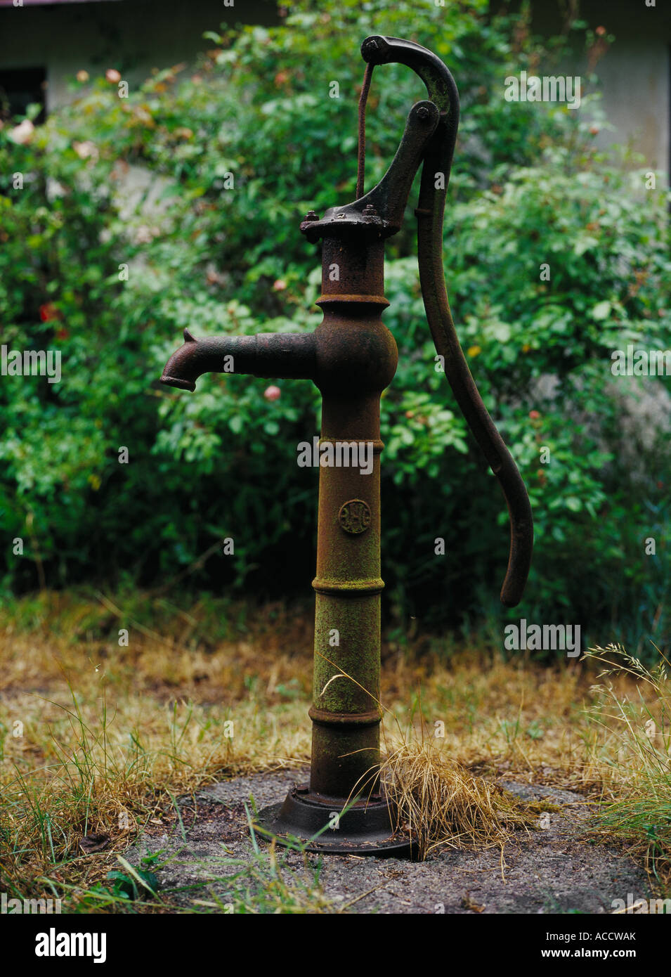 A water pump in a garden Stock Photo - Alamy