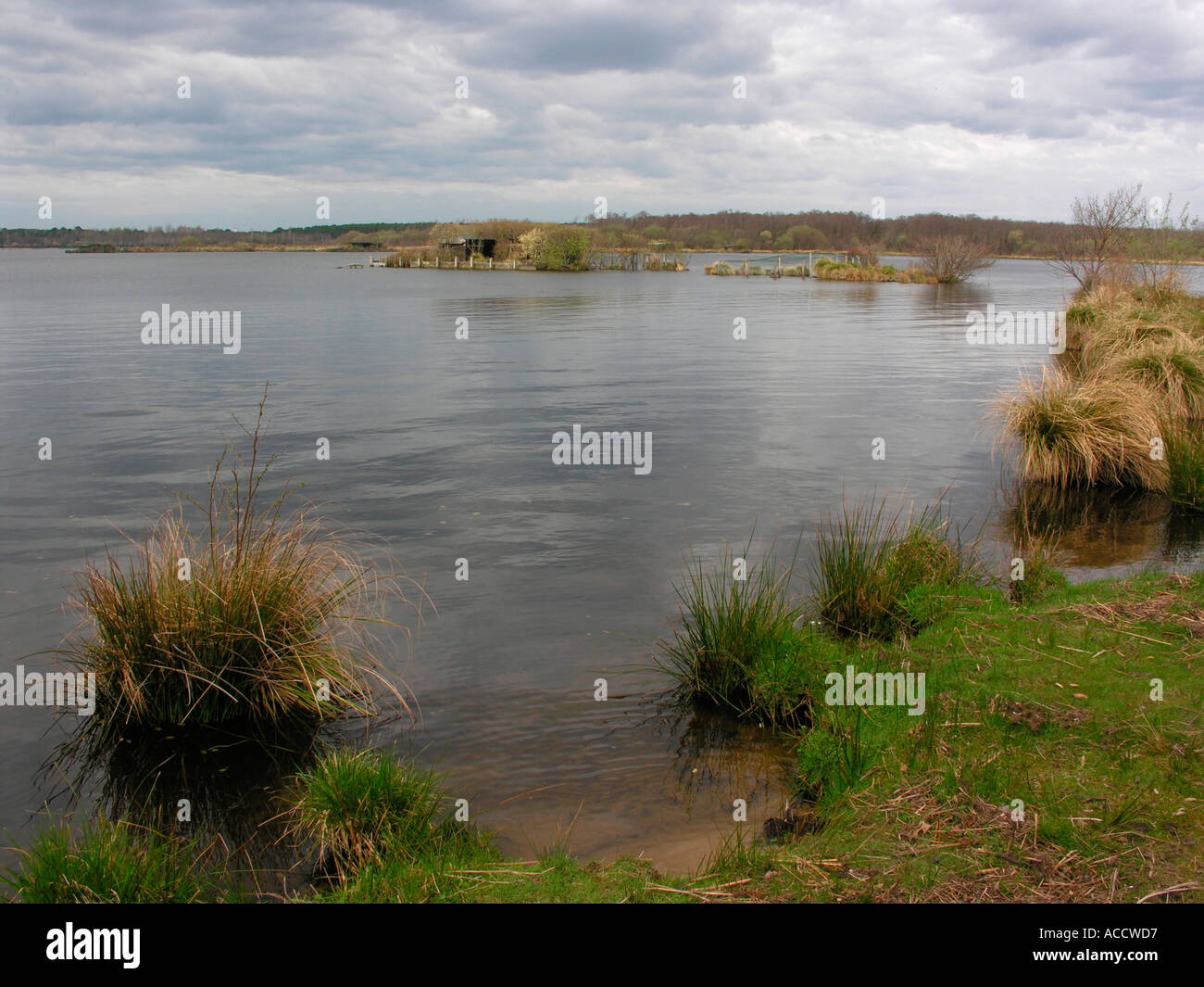 lake of Leon Etang de Léon in Landes Stock Photo - Alamy