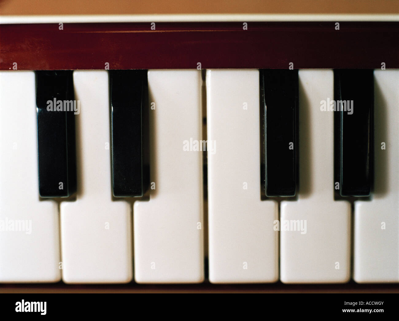 Melodica keys close-up Stock Photo - Alamy