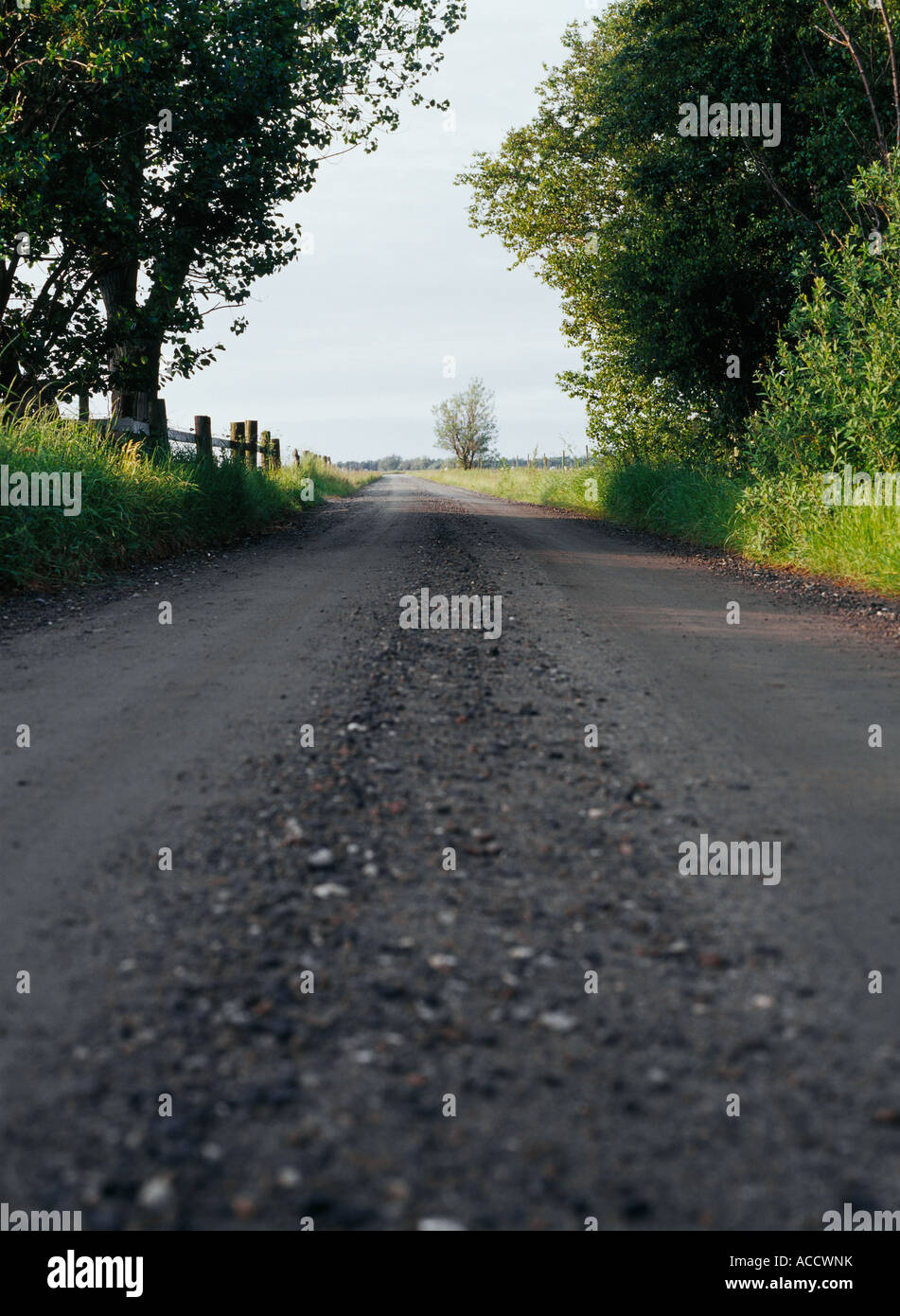 A road in the countryside Stock Photo - Alamy