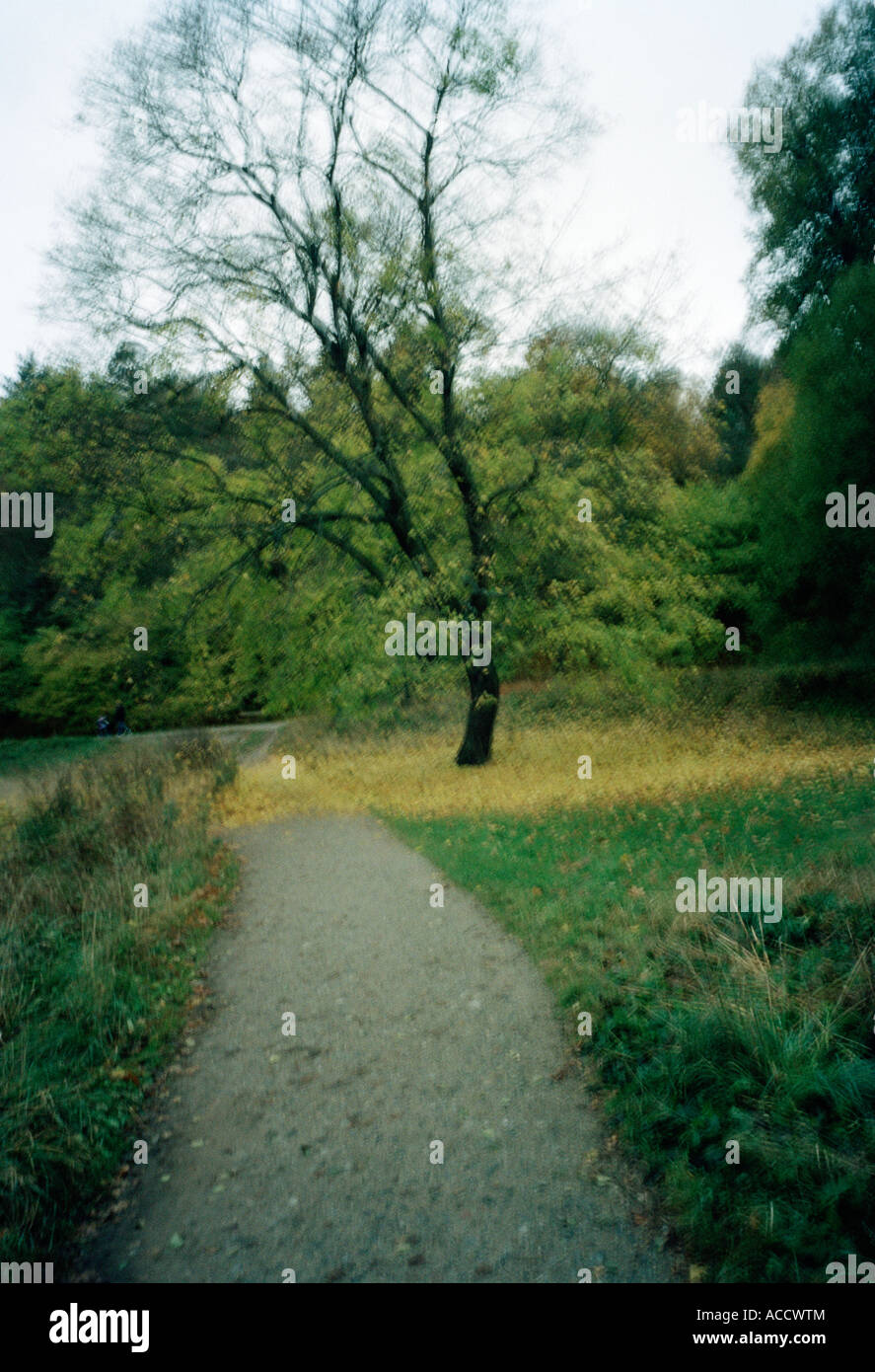 There is a footpath hi-res stock photography and images - Alamy