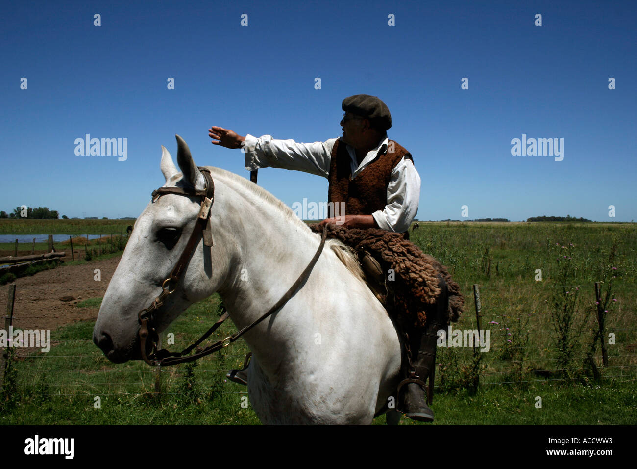 Gaucho on horse, The pampas, Argentina Stock Photo - Alamy