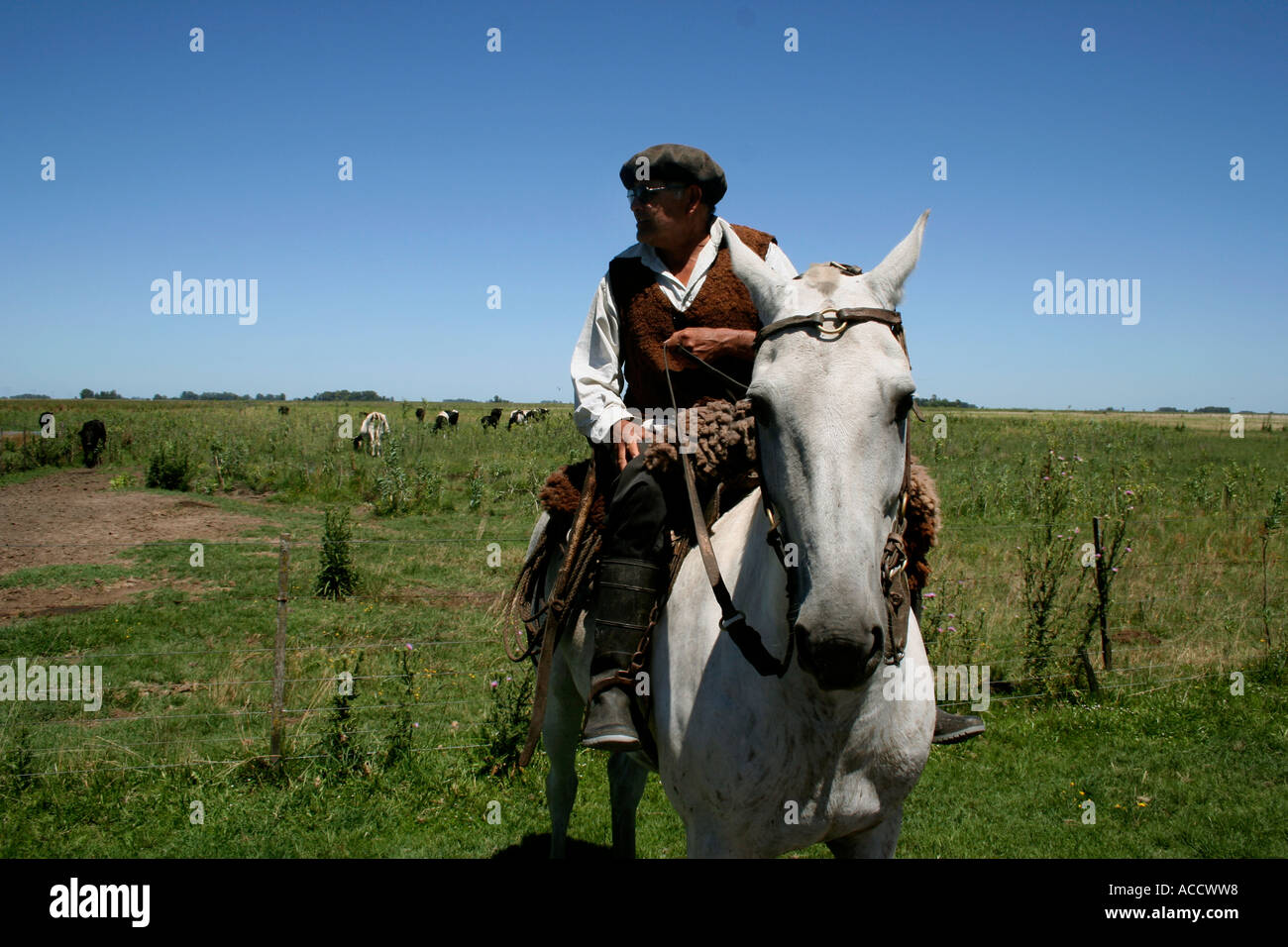 Americas culture people horse hi-res stock photography and images - Alamy