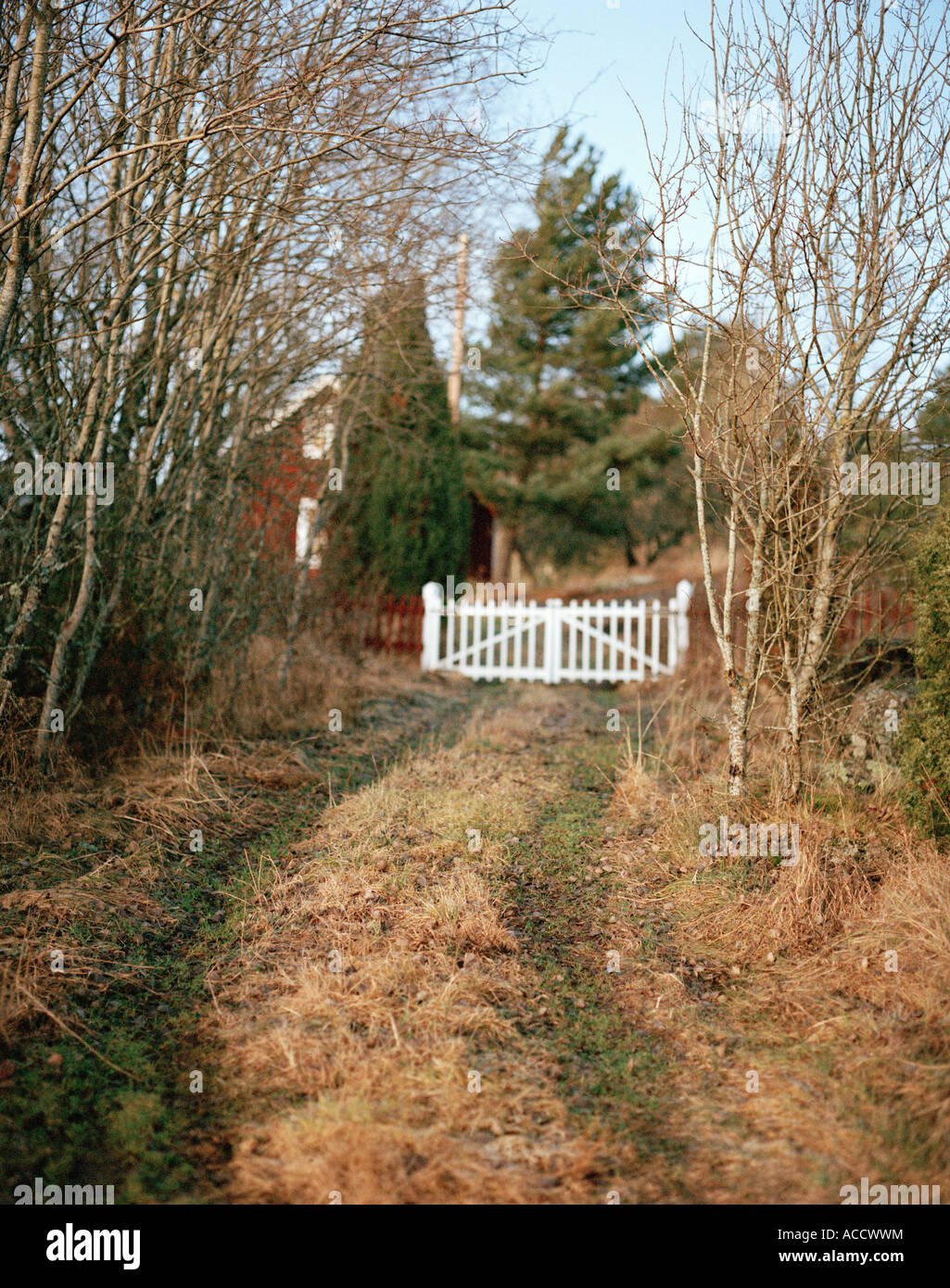 A road and a gate Stock Photo - Alamy