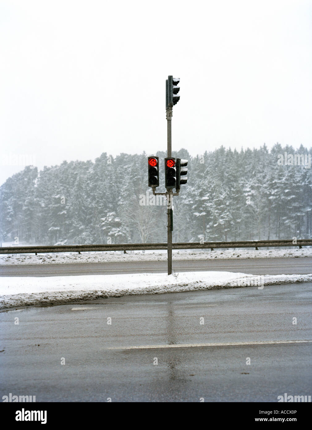 A traffic light on a winter road Stock Photo - Alamy