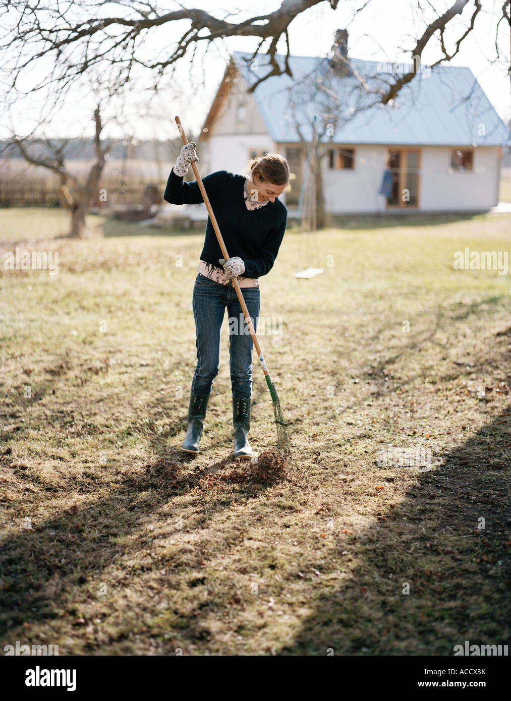 A woman raking in a garden Stock Photo - Alamy