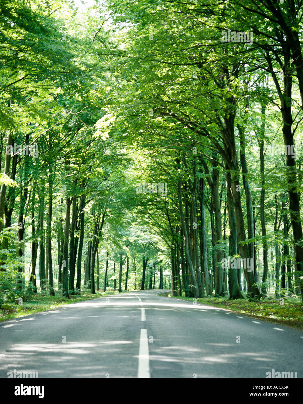 An empty country road Stock Photo - Alamy
