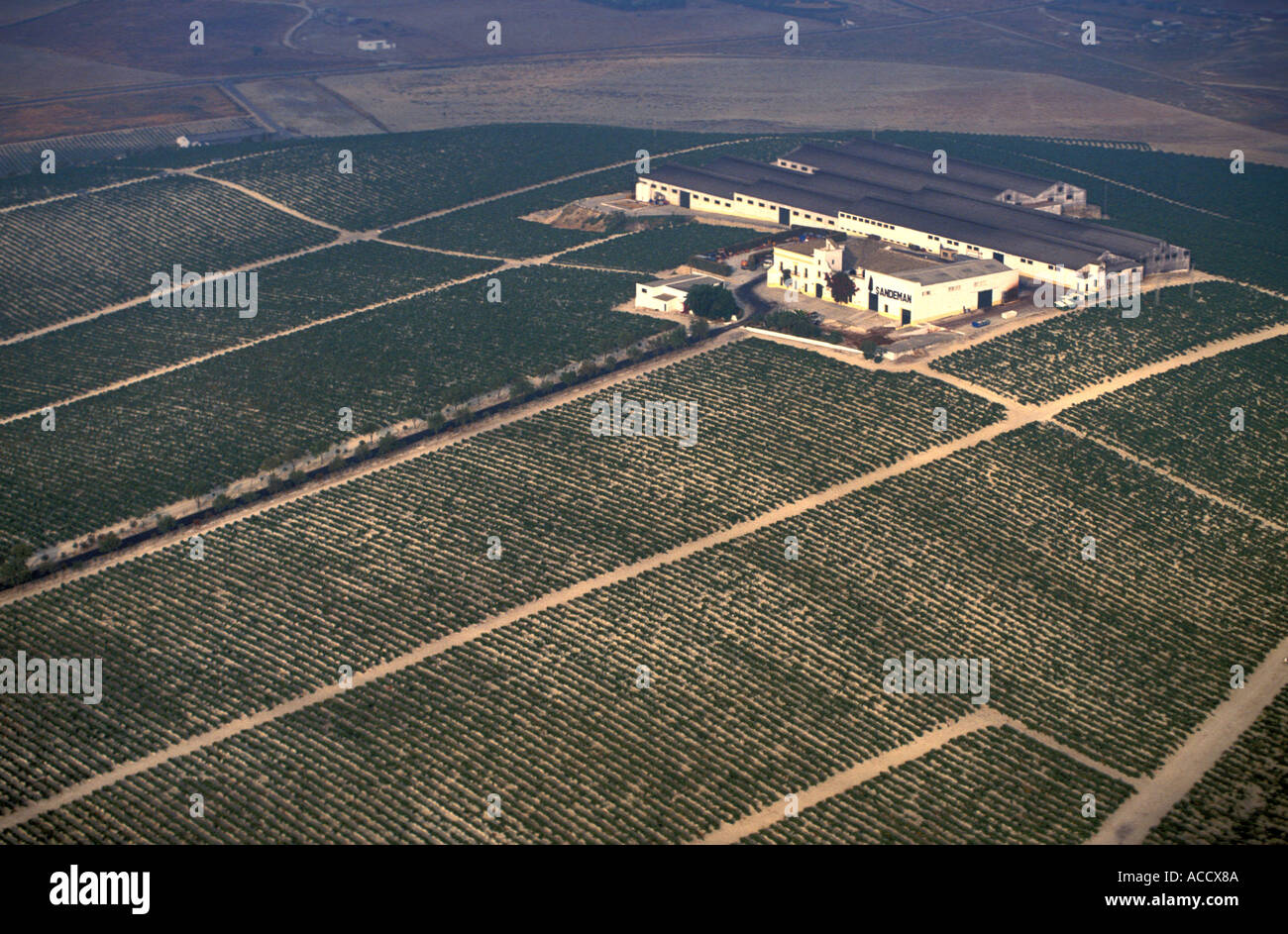aerial picture of vineyard bodega and estate Stock Photo - Alamy