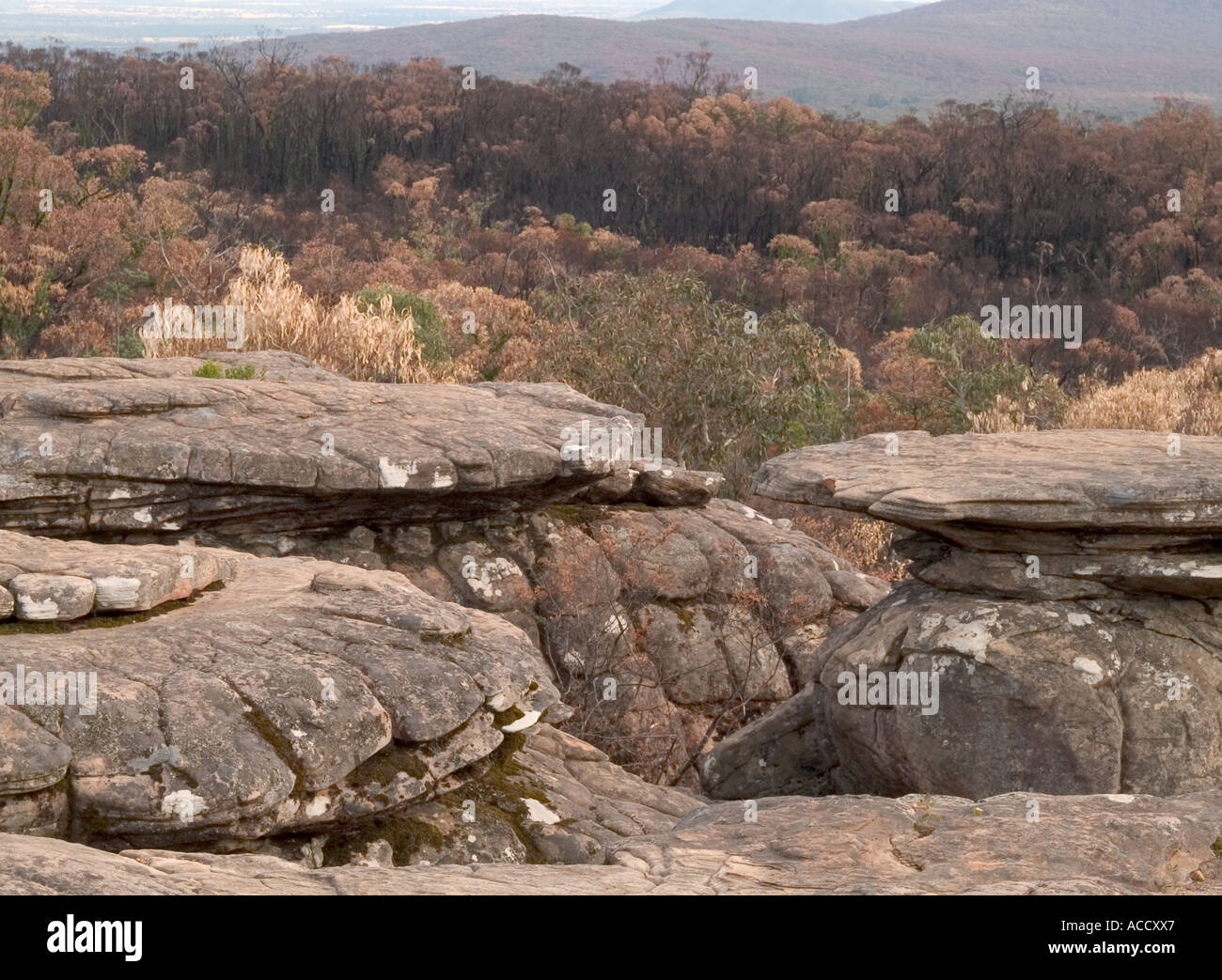 GEOLOGICAL FEATURES NEAR REEDS LOOKOUT, HALLS GAP, THE GRAMPIANS ...
