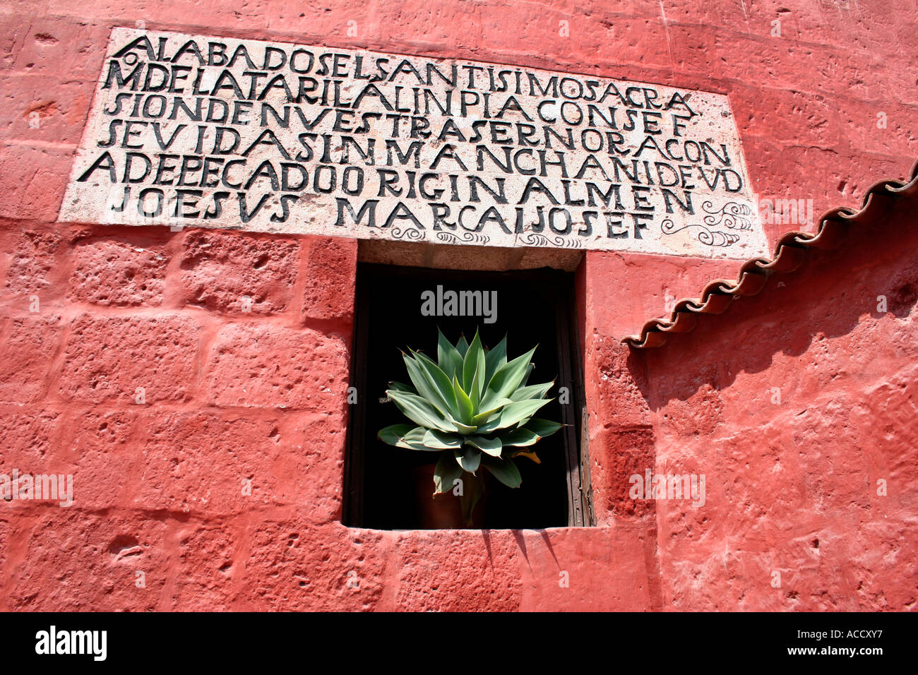 Facade with carved Latin writing and giant succulent plant , Santa ...