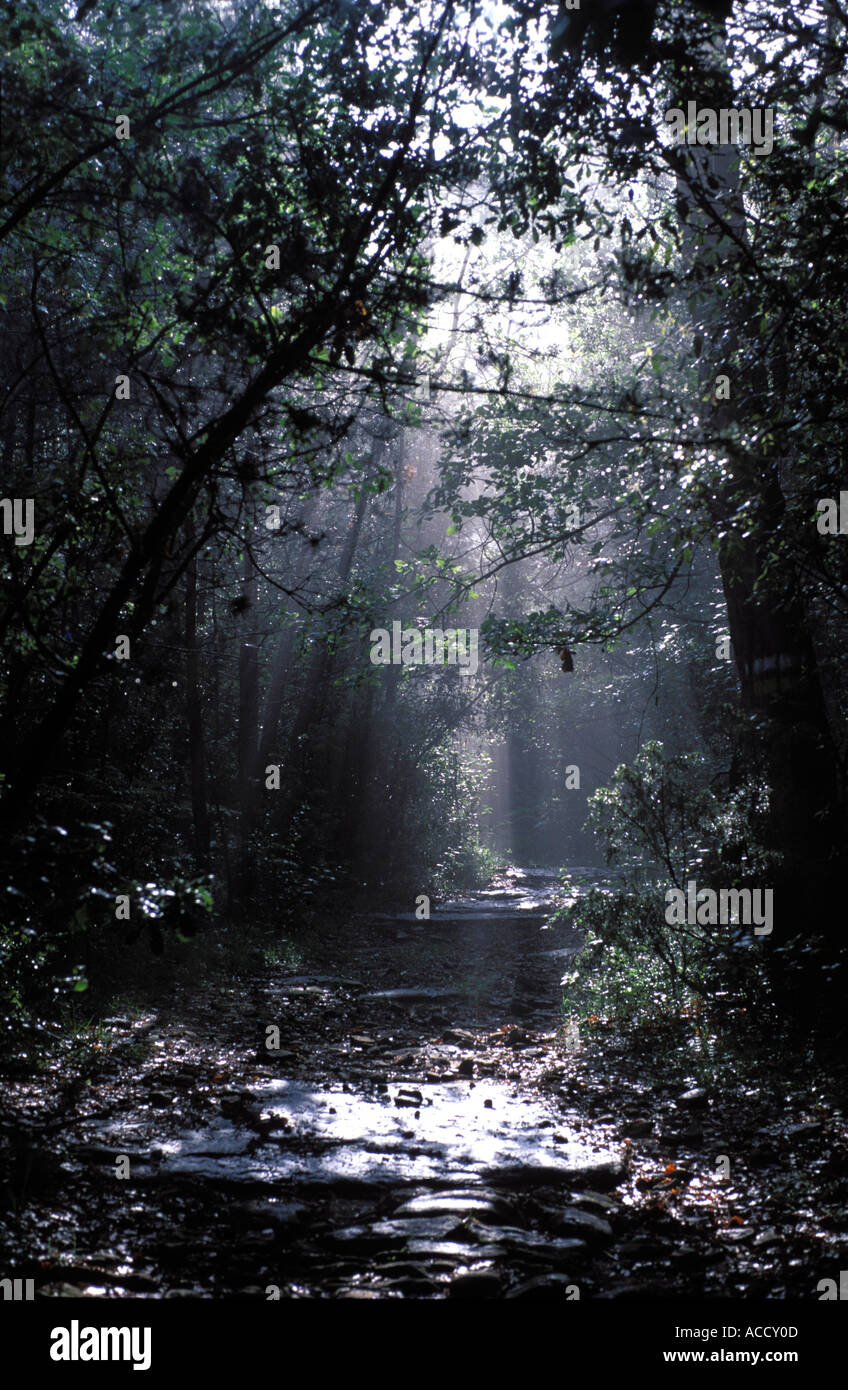 ancient roman path from tavernoles to tavertet Stock Photo - Alamy