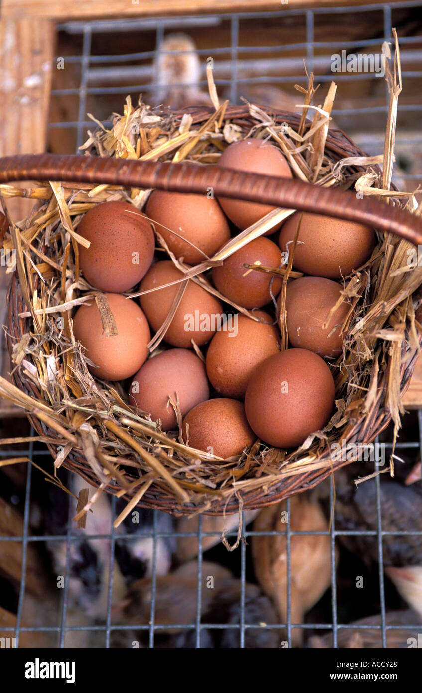 Spanish farmer s hi-res stock photography and images - Alamy