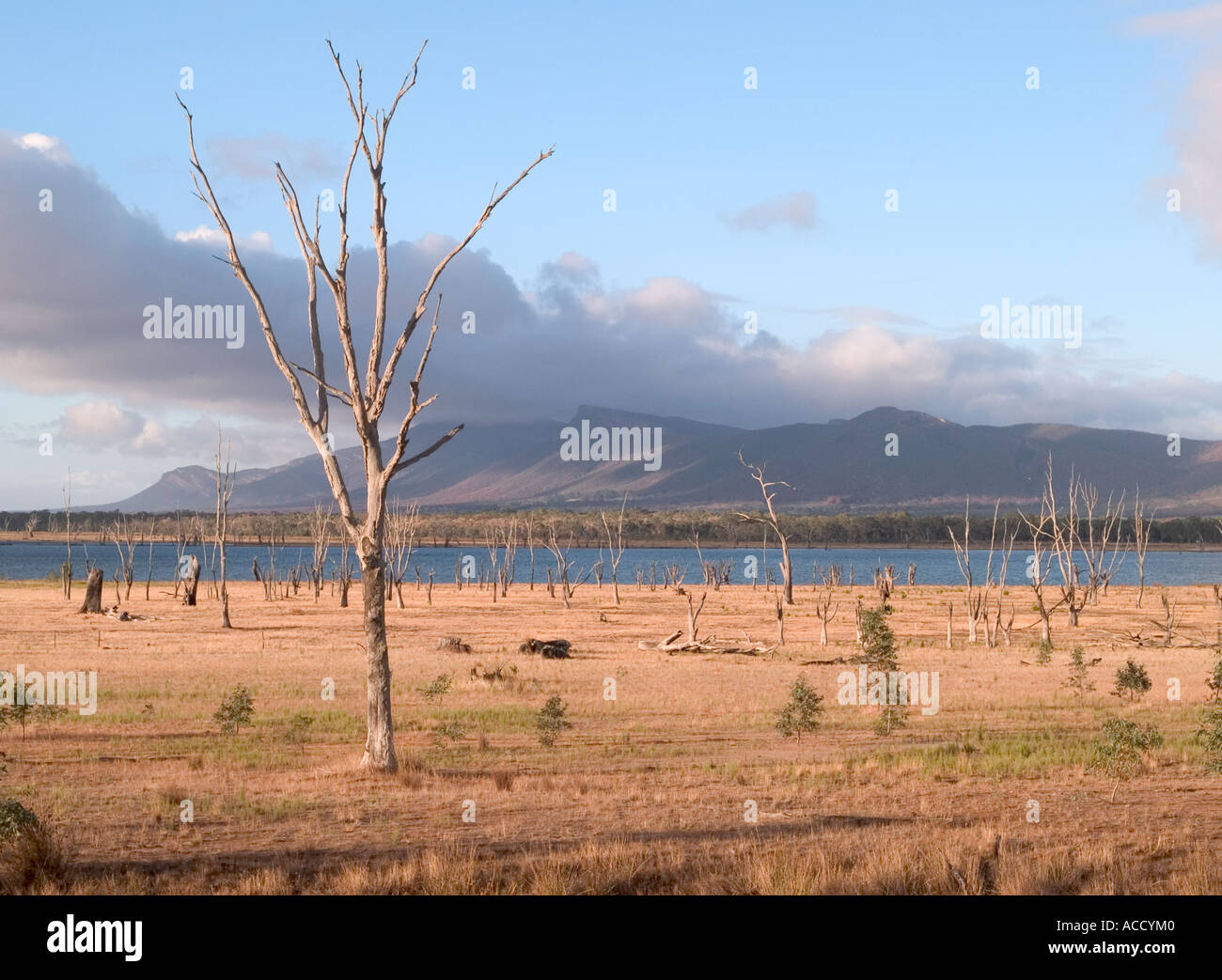See fyons hi-res stock photography and images - Alamy