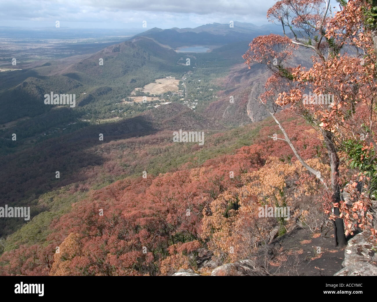 VIEW FROM THE BOROKA LOOKOUT, MOUNT DIFFICULT RANGE, HALLS GAP, THE ...