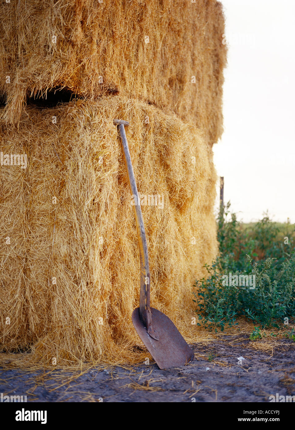 A spade leaning on hay Stock Photo - Alamy