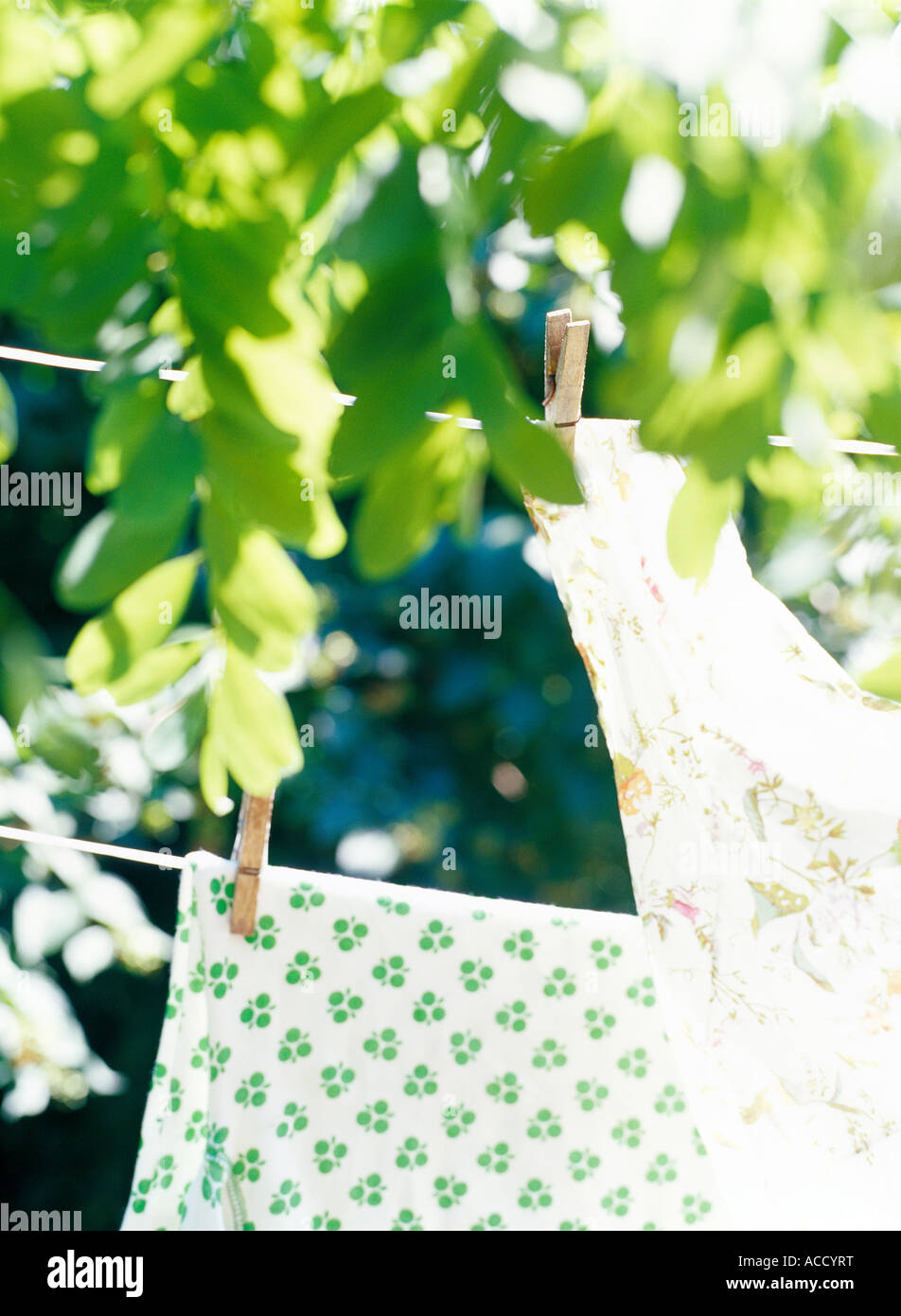 Clothes drying on a clothes line Stock Photo - Alamy