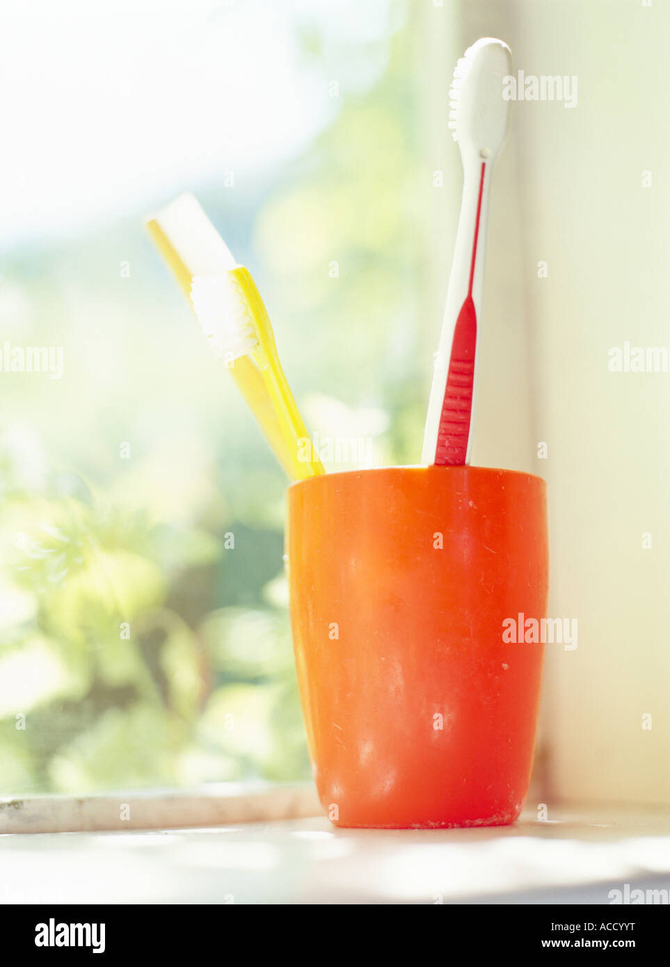 Toothbrushes in a cup Stock Photo - Alamy
