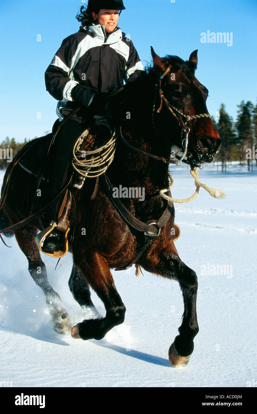 Galopping hi-res stock photography and images - Alamy