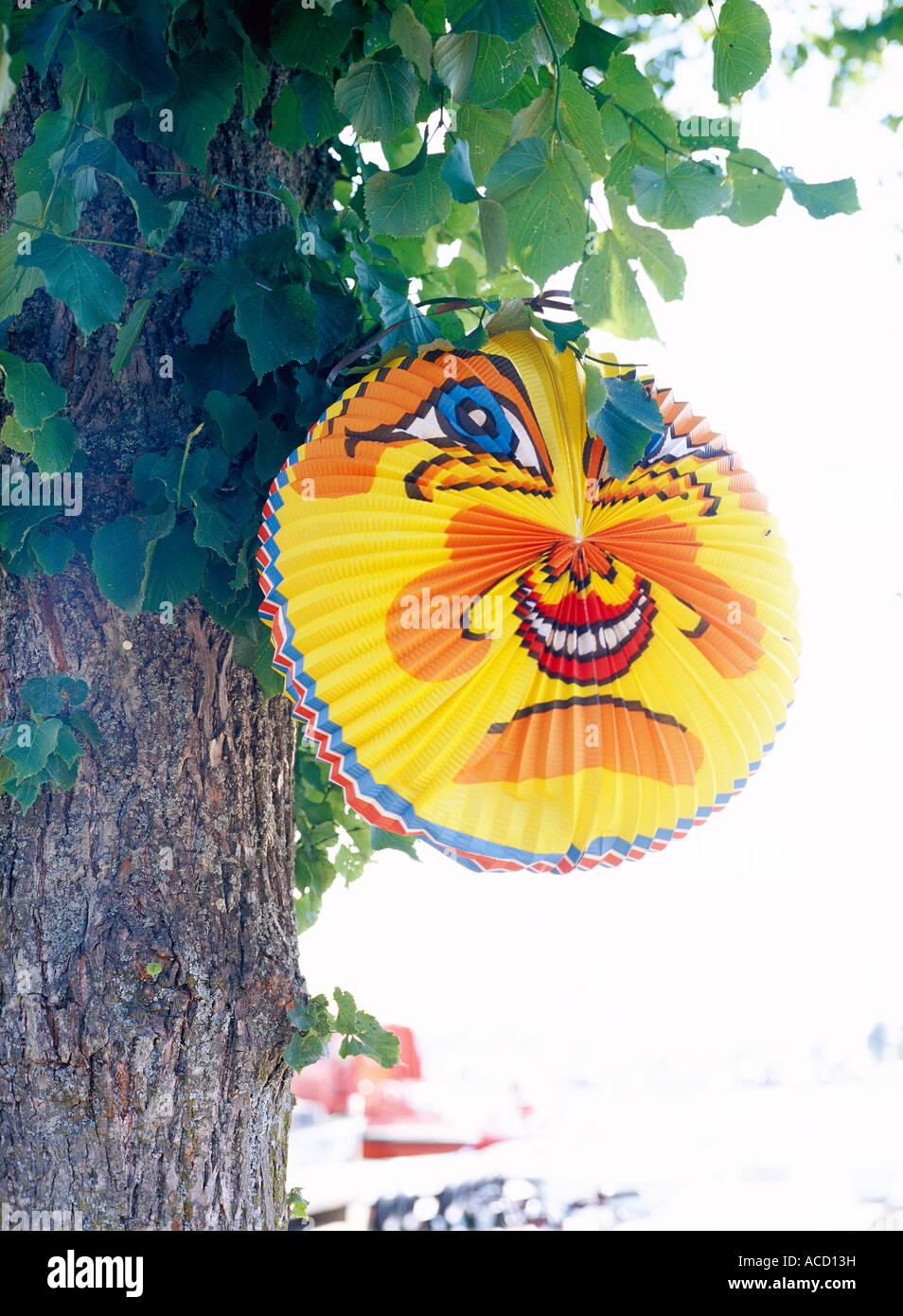 A lantern in a tree Stock Photo - Alamy