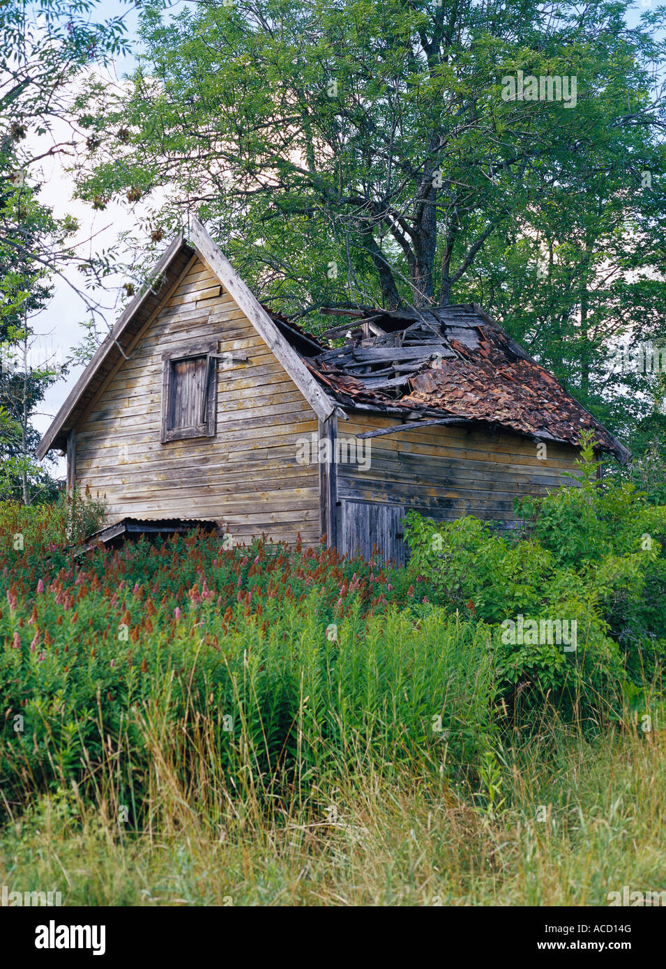 A derelict house Stock Photo - Alamy