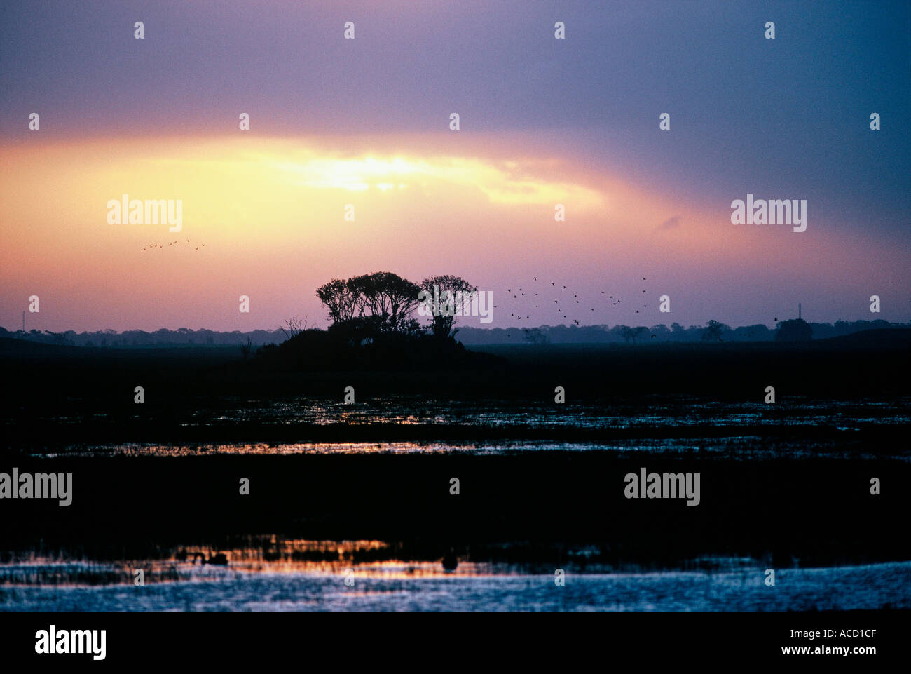 Wetlands bool lagoon south australia hi-res stock photography and ...