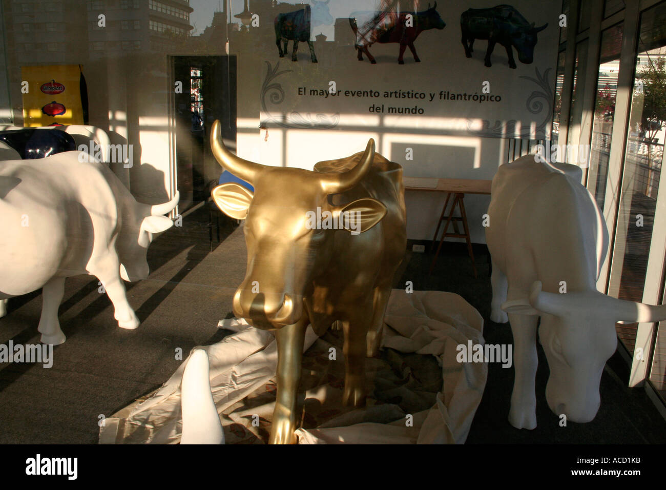 Gold cow hi-res stock photography and images - Alamy