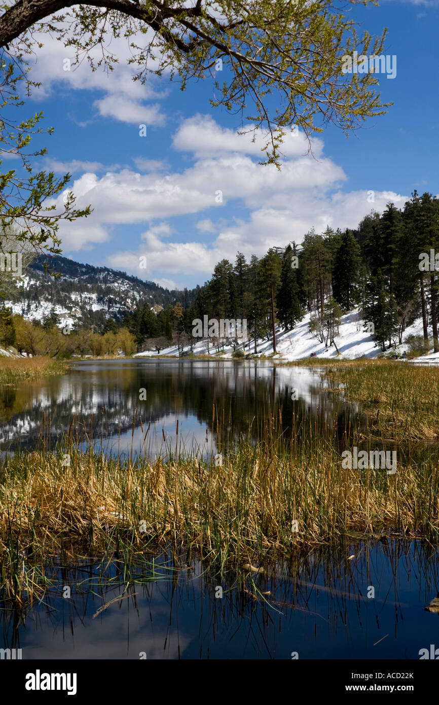 Placid Jackson Lake, California in spring with pine trees and snow bank ...