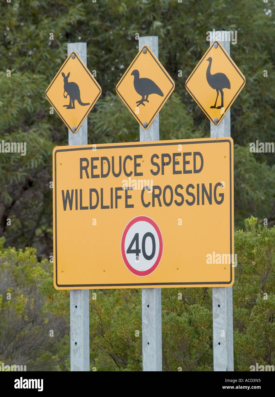 Emu kangaroo mallee wildlife warning road sign hi-res stock photography ...