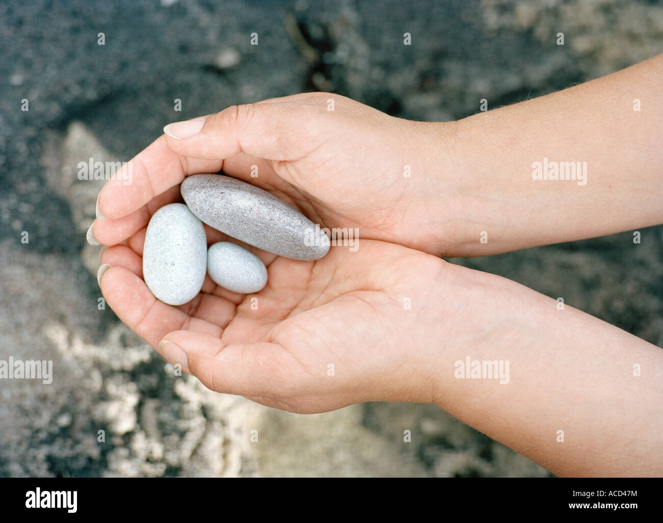 Stones in the hands of a child Stock Photo - Alamy